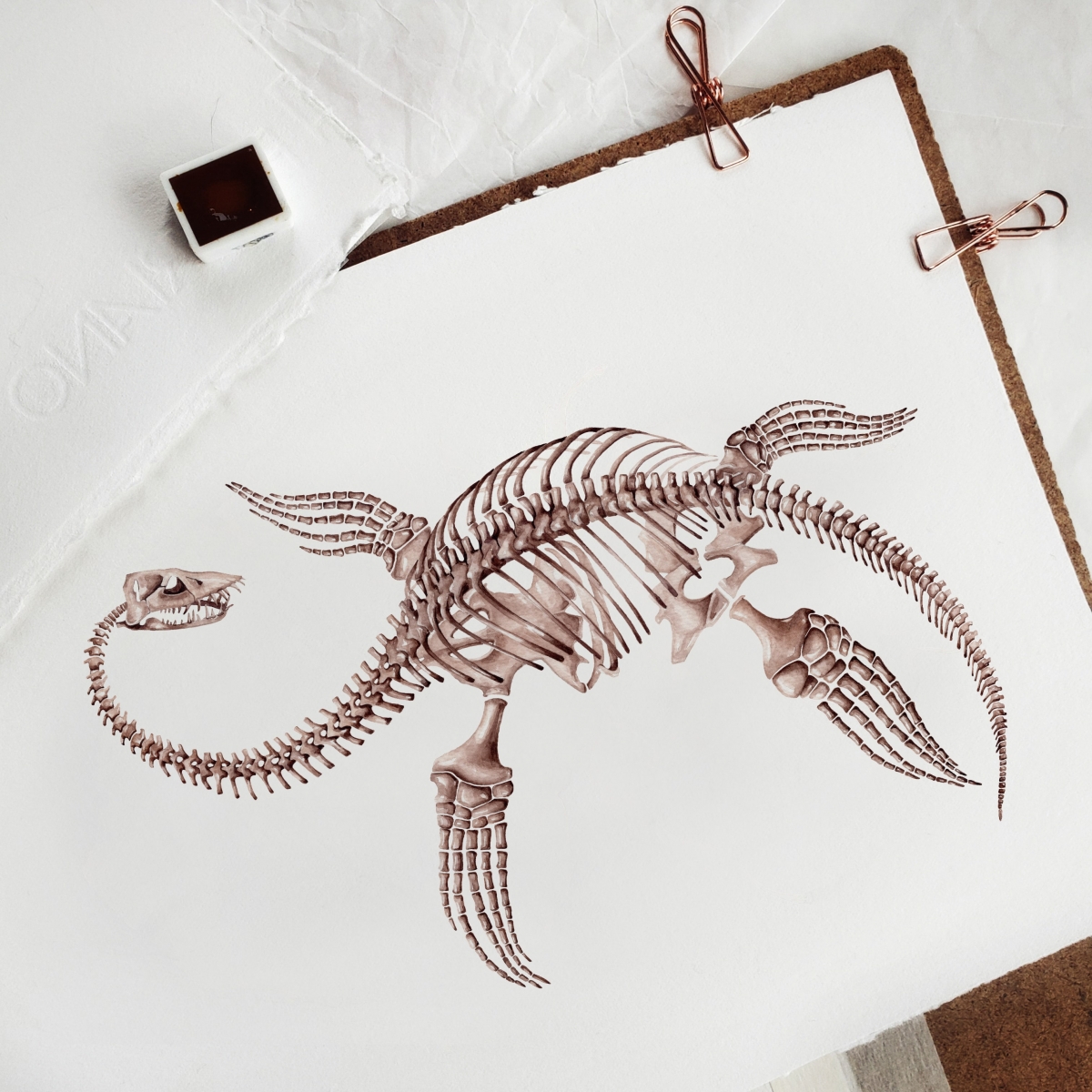 Plesiosaurus Dinosaur Watercolour Giclée Print