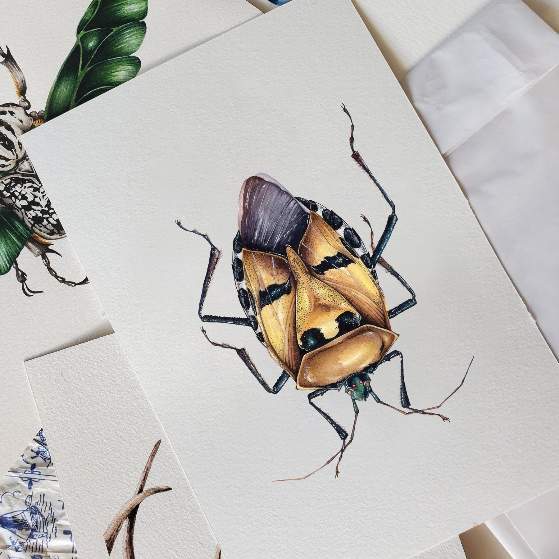 Man-faced Stink Bug (Catacanthus incarnatus) Watercolour Giclée Print